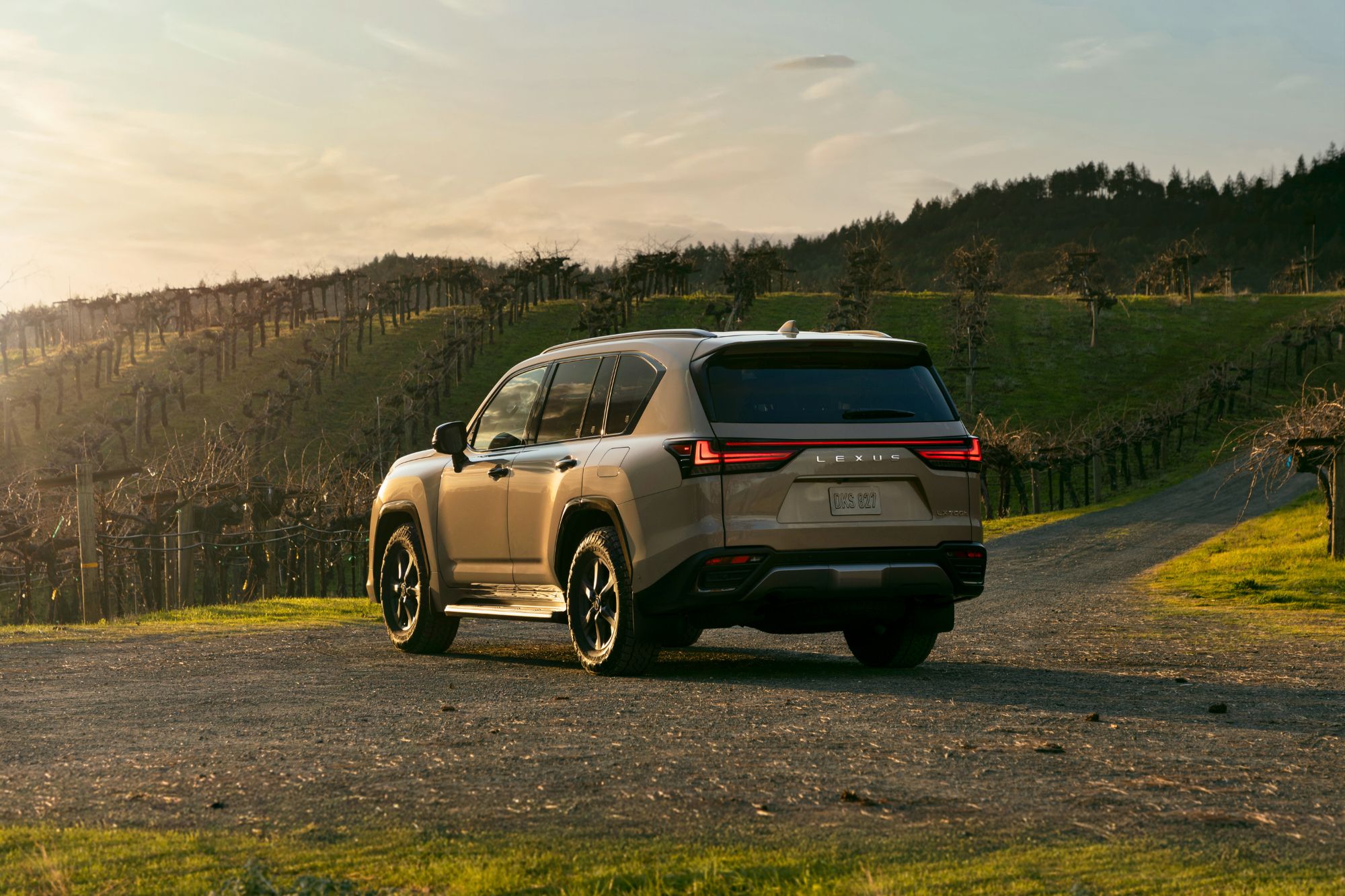 2025 Lexus LX 700h Overtrail | shinymetalboxes